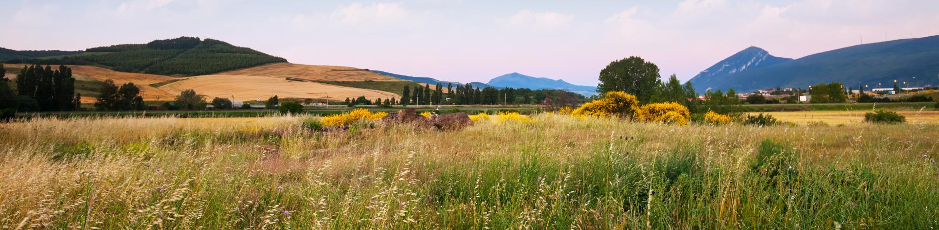 Nature Fridays: Grasslands for National Indigenous Peoples Day | The ...